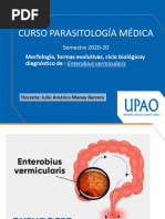 Enterobius vermicularis: Ciclo y Tratamiento | PDF | Epidemiología ...