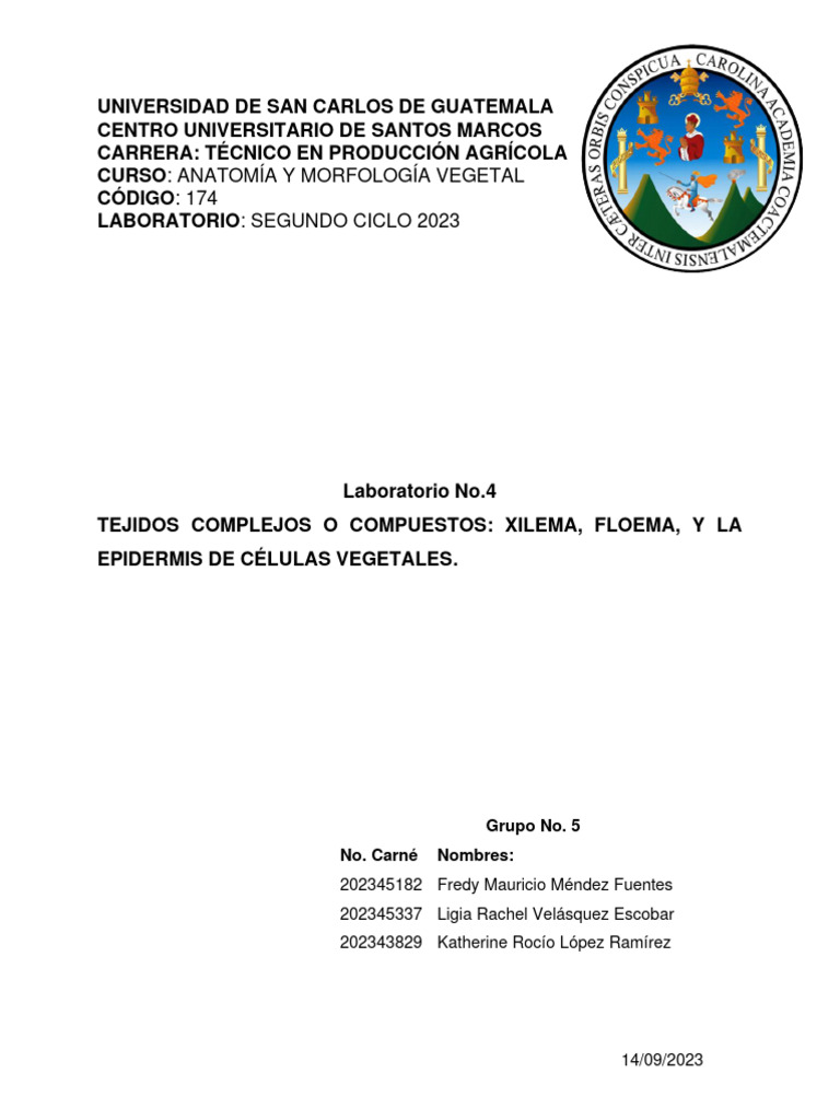 Practica Laboratorio 4 Anatomia y Morfologia Vegetal | PDF | Plantas ...