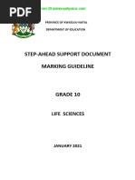 As LEVEL PLAN DIAGRAMS Biology | PDF | White Blood Cell | Cell (Biology)