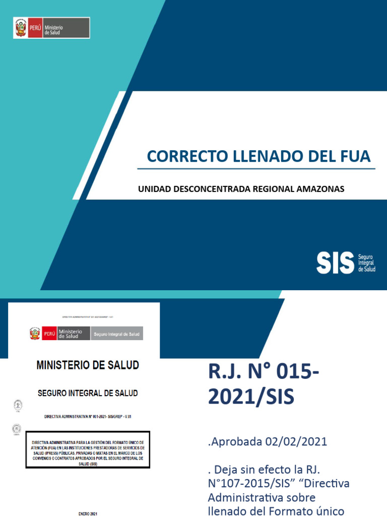 Correcto Llenado Del Fua - 2022 | PDF | Salud pública | Medicina