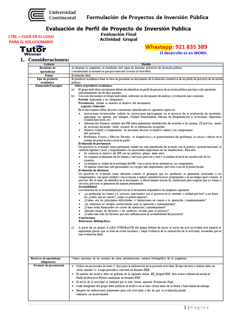 TW - FORMULACION DE PROYECTOS DE INVERSION EXAMEN FINAL v1 2023 | PDF