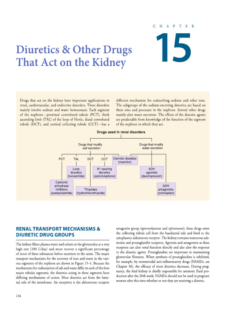 Katzung Diuretics | PDF
