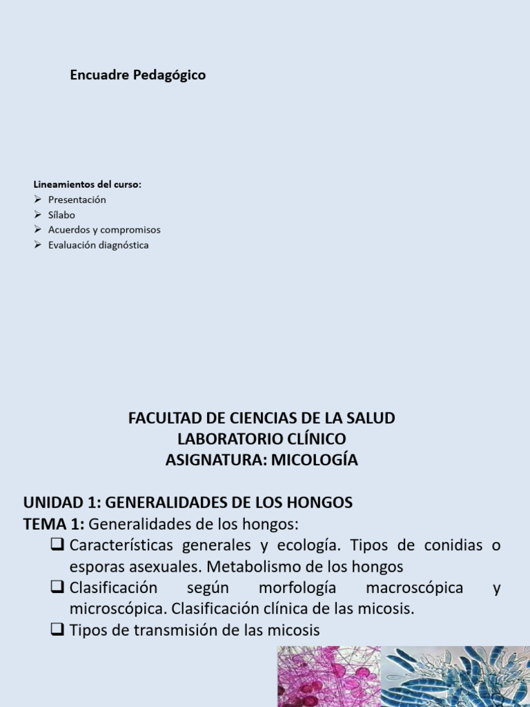 Unidad 1 Tema 1 | PDF