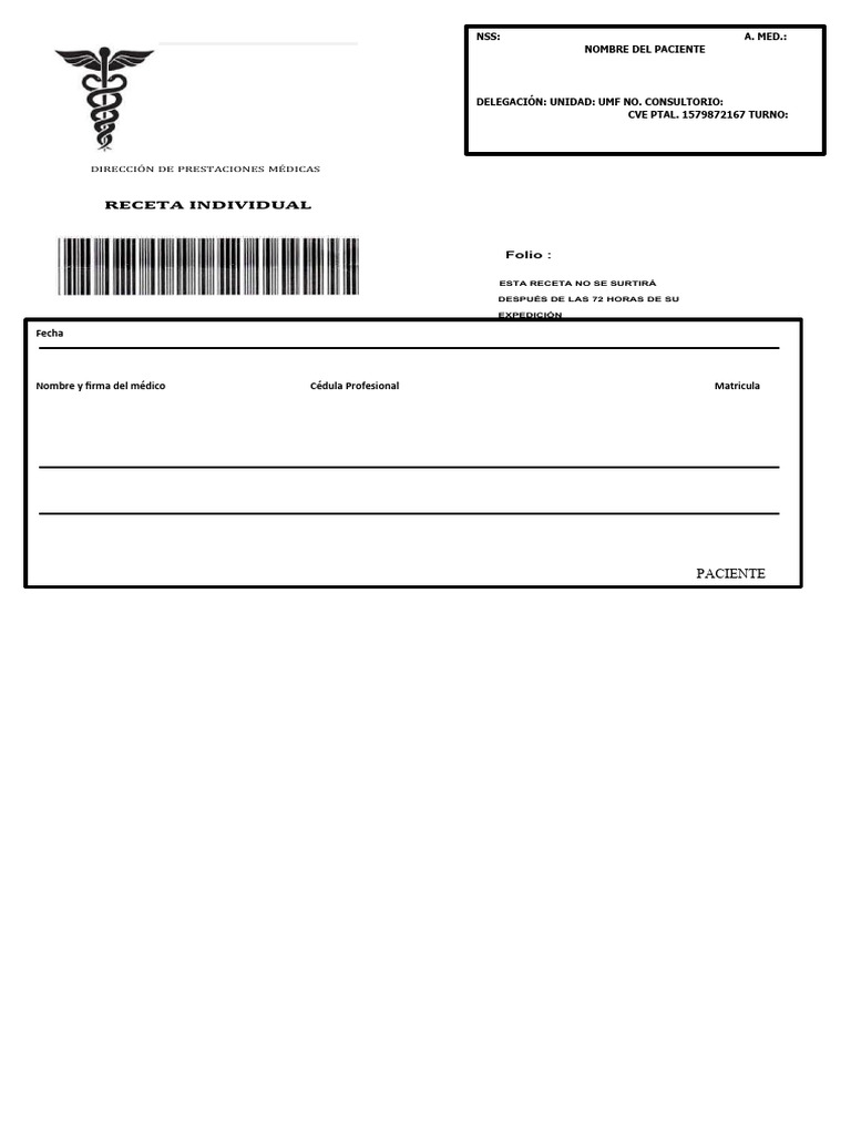 Formato de Receta Medica Imss Editable | PDF