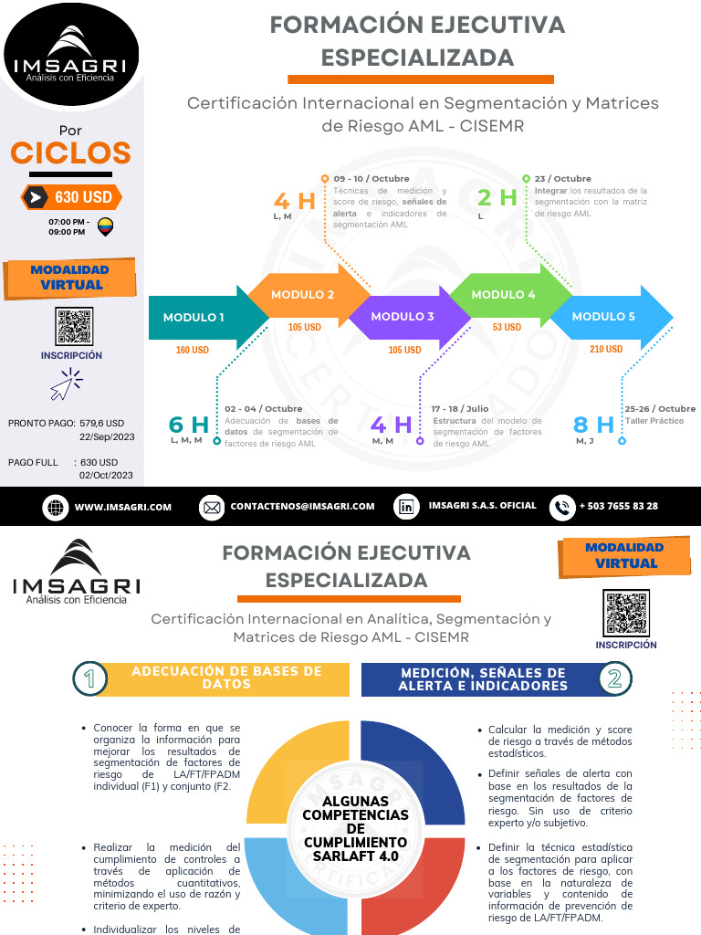 Brochure CISEMR - VIRTUAL - Oct2023 | PDF | Segmentación de imagen | Estadísticas