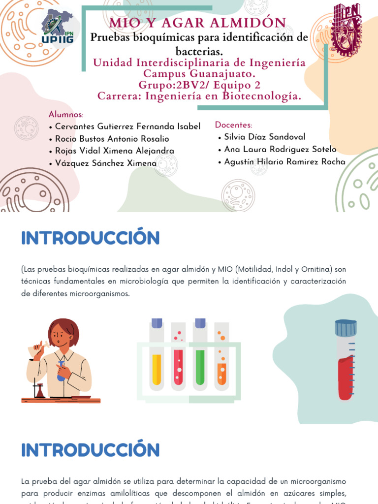 Pruebas Bioquímicas: MIO y Agar Almidón | PDF | Salud y bienestar ...