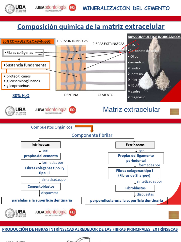 Presentación de La Clase. Mineralización de Cemento | PDF | La matriz ...