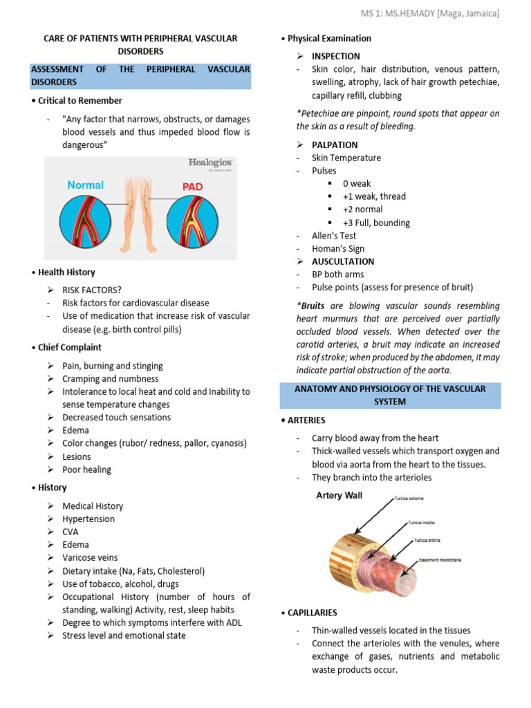 Peripheral Vascular Disorders Care Guide | PDF