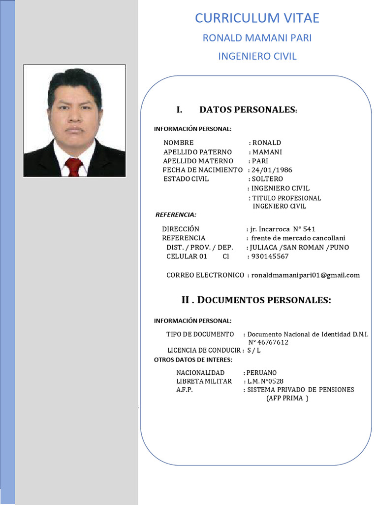 CV Ronald Mamani Pari | PDF