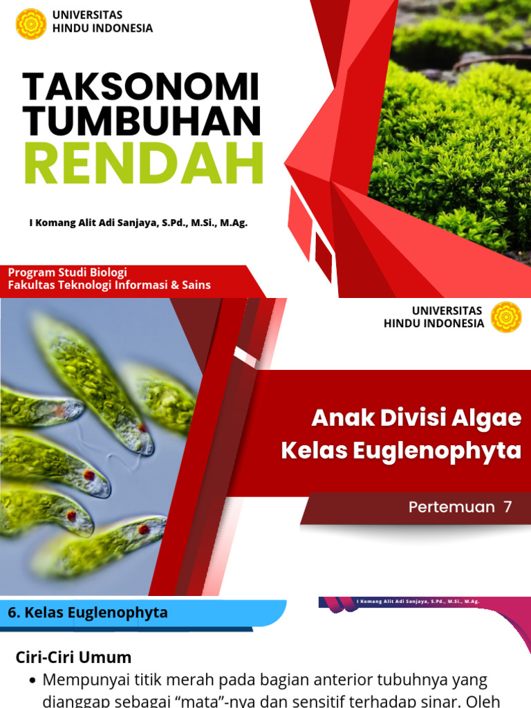 Taksonomi Tumbuhan Rendah (Euglenophyta) | PDF