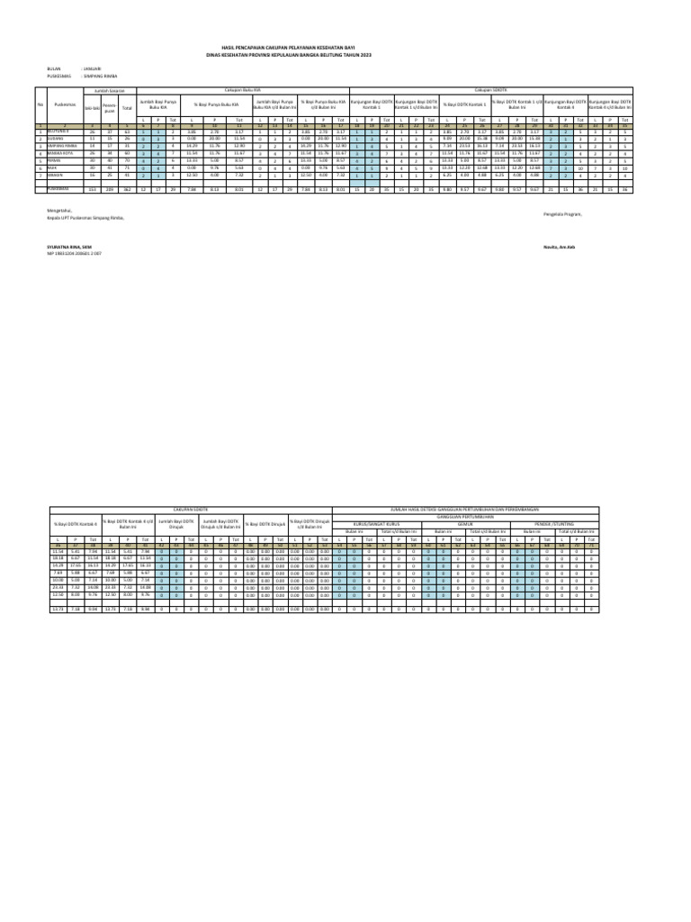 Laporan SDIDTK 2023 | PDF