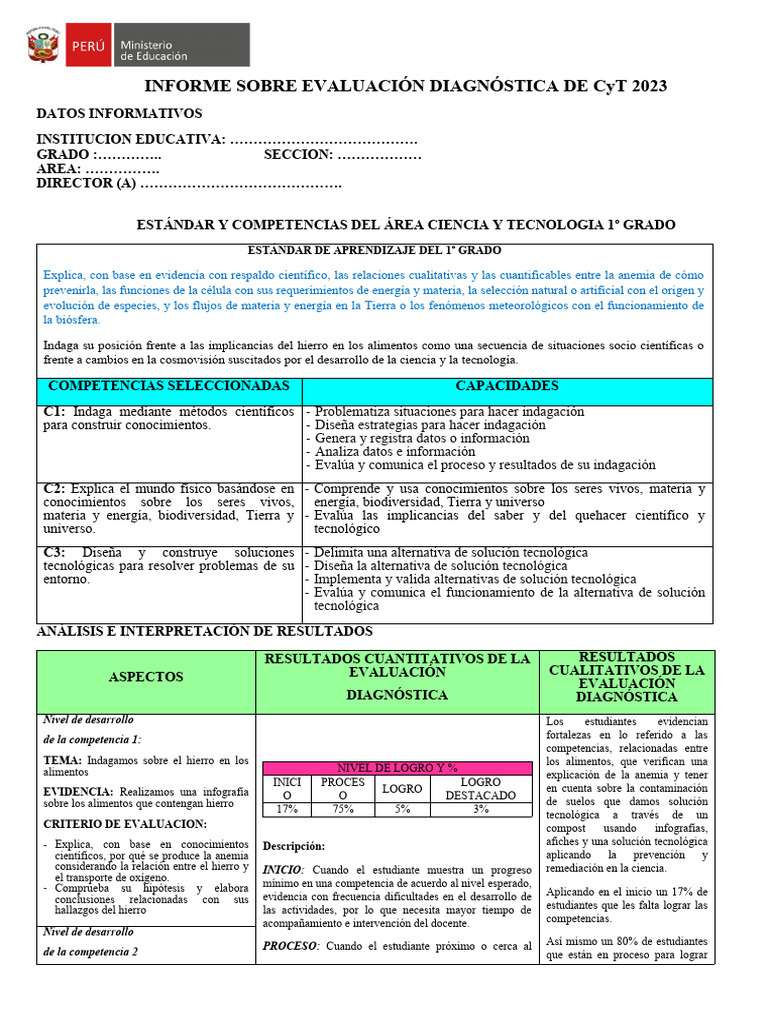 Informe de Evaluación Diagnóstica | PDF | Evaluación | Importar