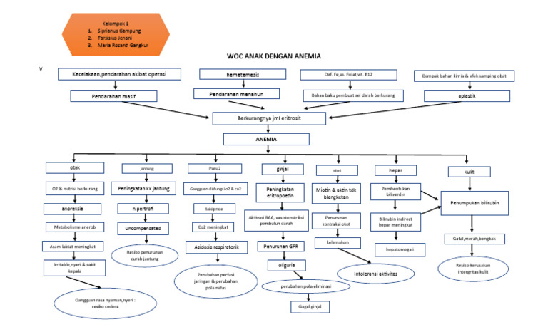 WOC ANEMIA Kelompok 1 | PDF