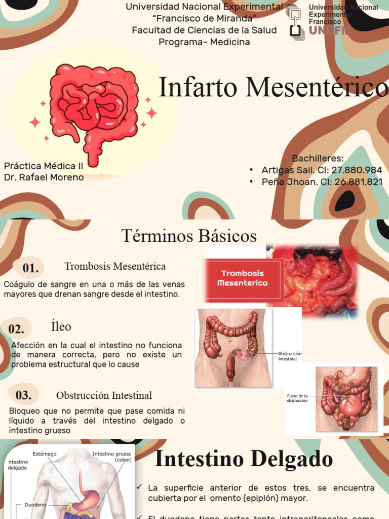 Infarto Mesentérico Diapositivas | PDF | Isquemia | Tracto gastrointestinal