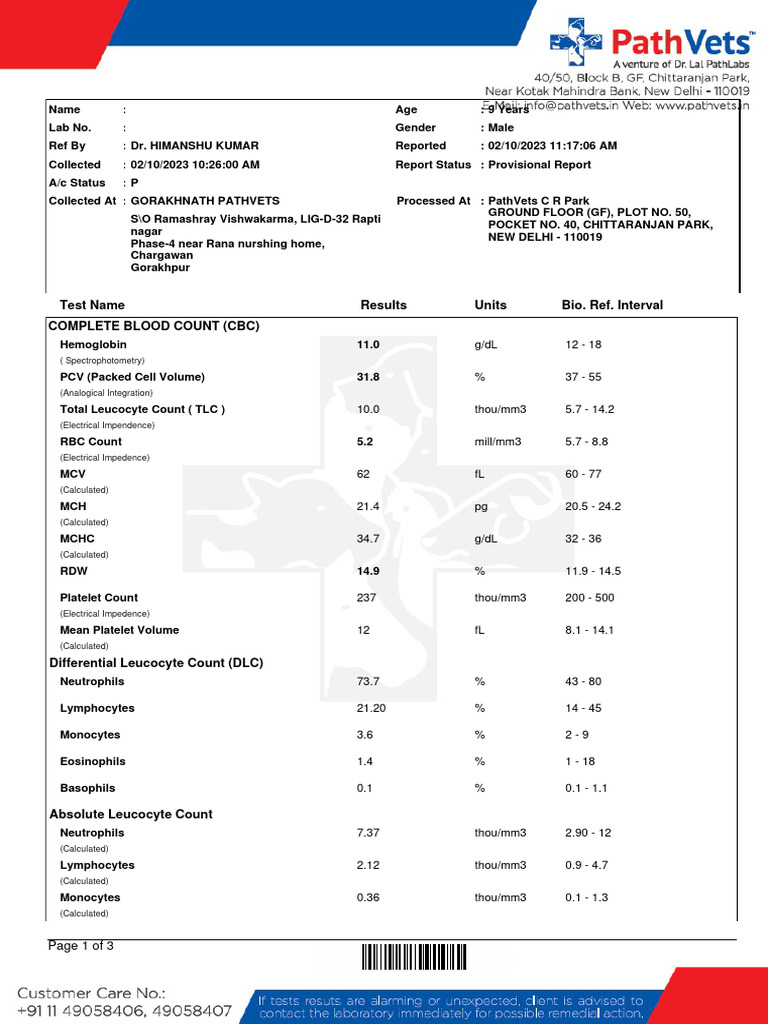 Dog TYSON C-O MANISHA 392231061 | PDF