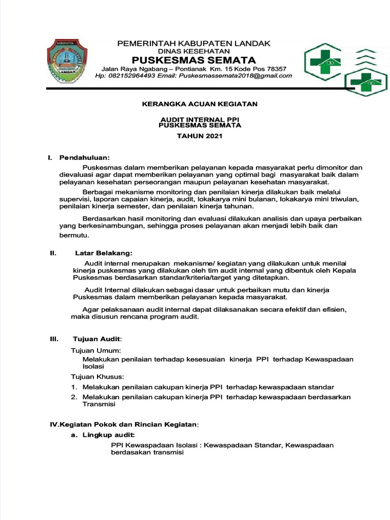 Audit Internal PPI Puskesmas Semata 2021 | PDF