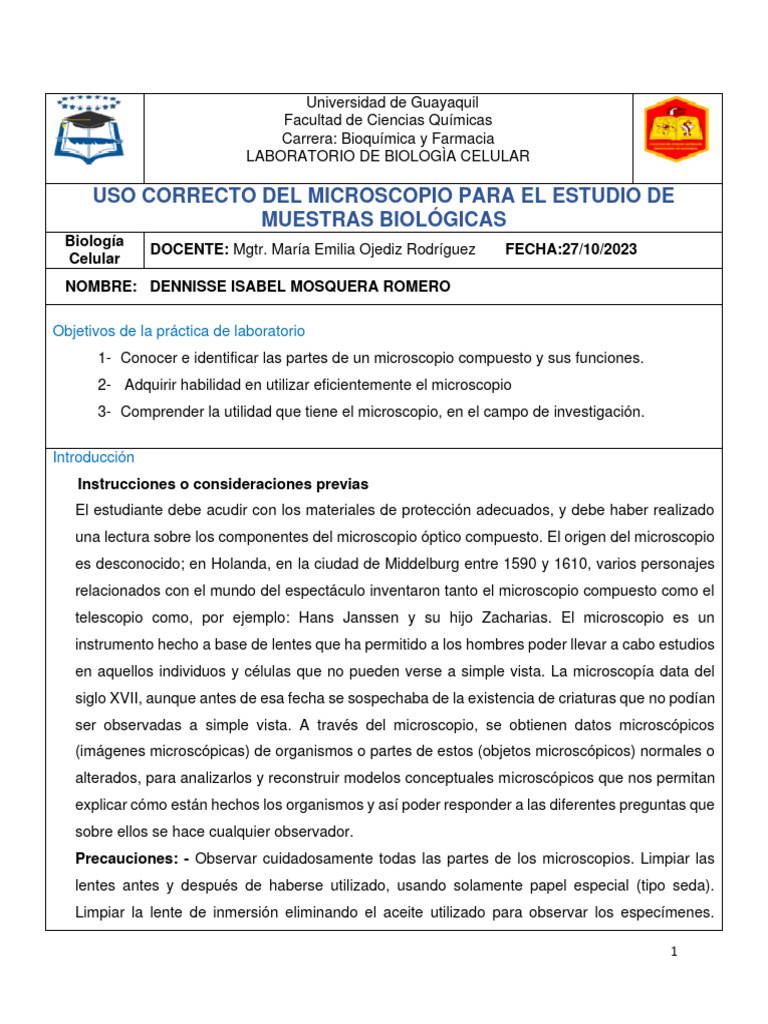 Observación de Corcho en Microscopio | PDF