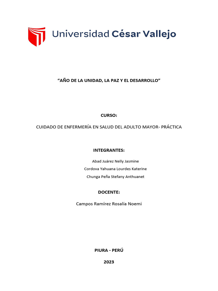 Pae Adulto Mayor Final | PDF