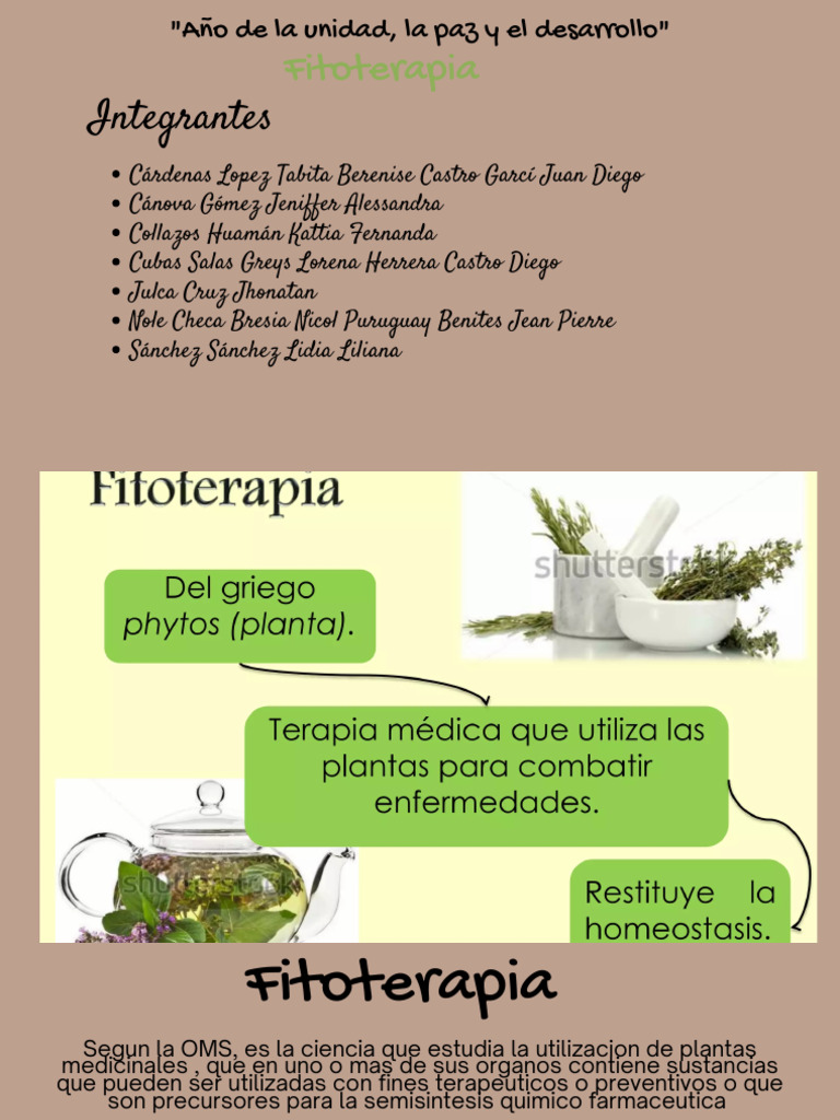 Fitoterapia | PDF