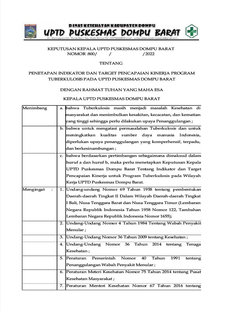 PDF SK Indikator Dan Capaian Kinerja Program TB - Compress | PDF