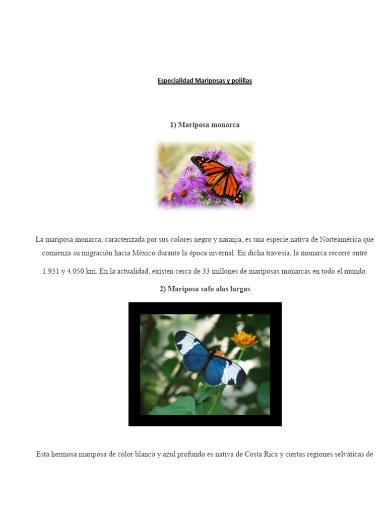 20 Tipos de Mariposas y Sus Nombres | PDF
