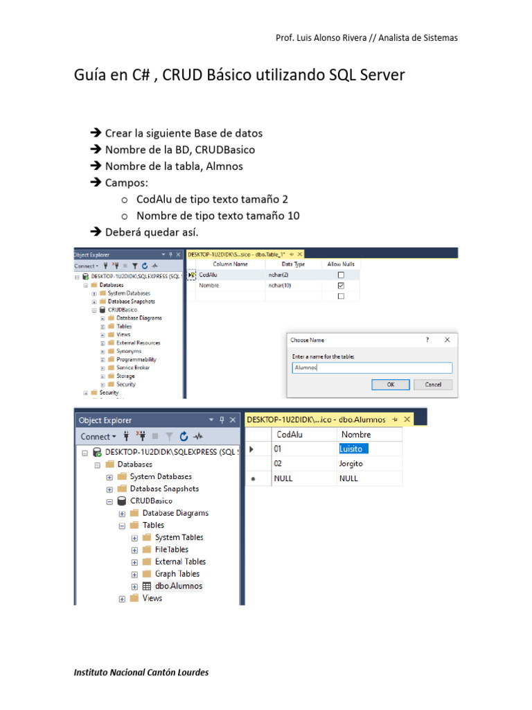 Guia CRUDBasico Utilizando SQLServer | PDF