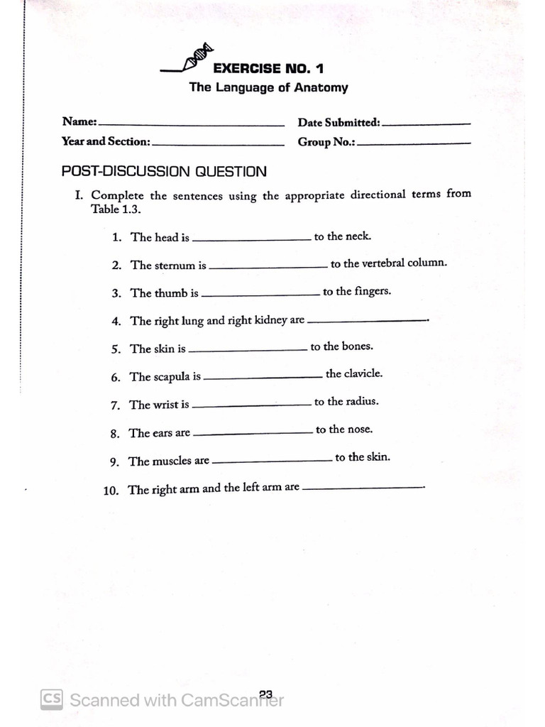 Anaphy Activity 1 - Lab Manual | PDF
