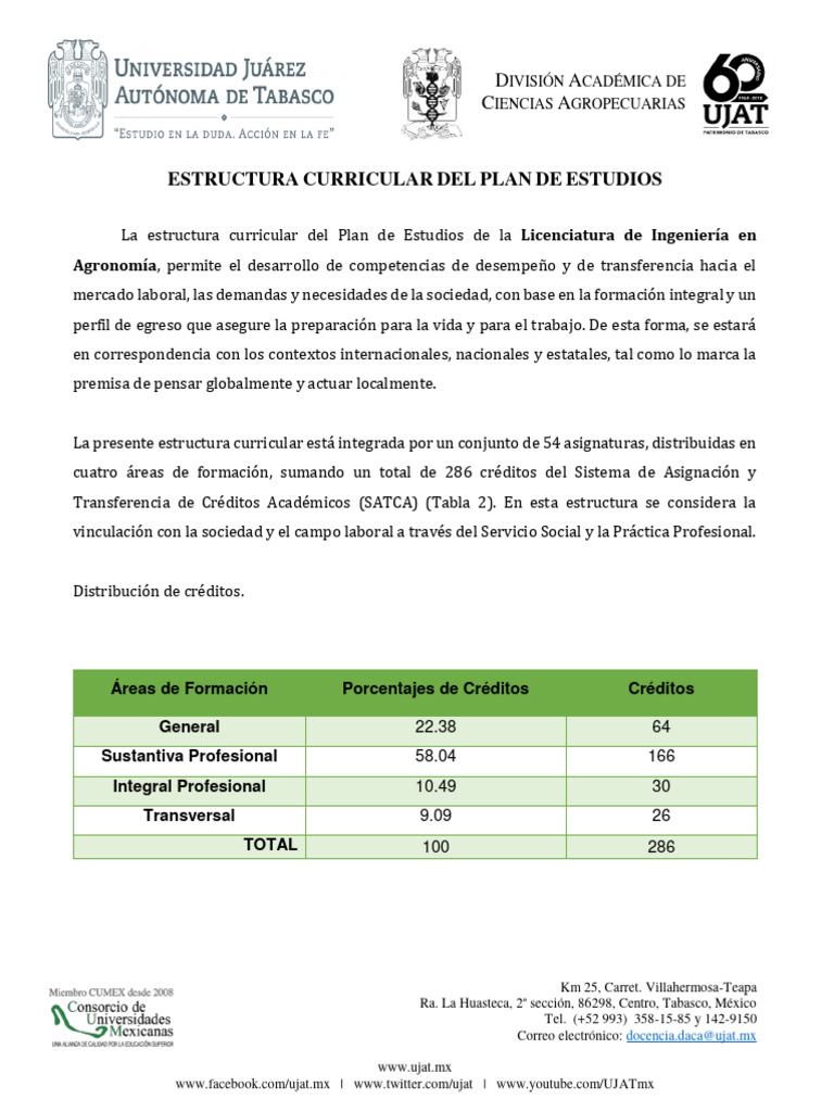 Estructura Curricular | PDF