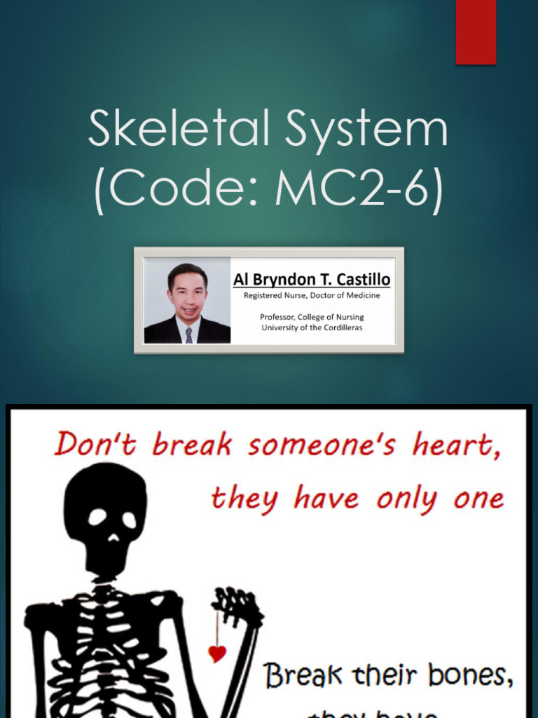 MC2-6 Skeletal System | PDF