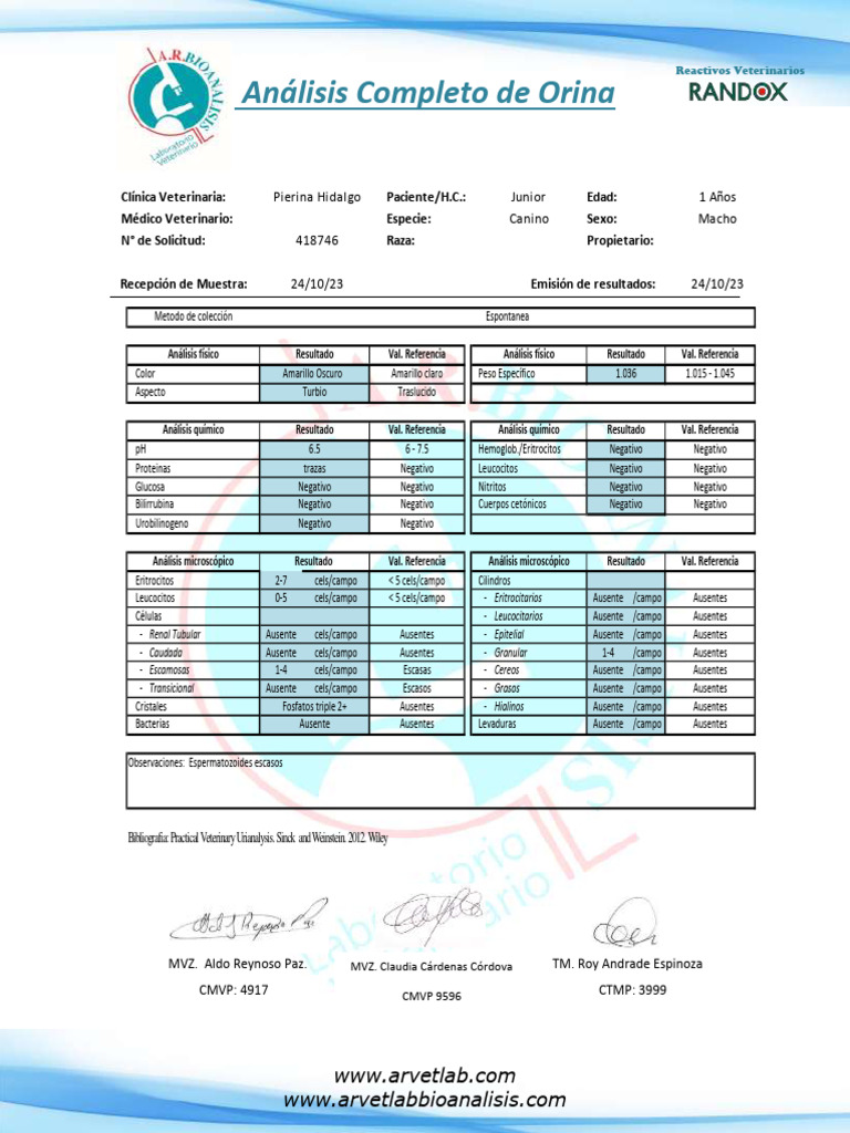 V-1062 Urianálisis Canino | PDF