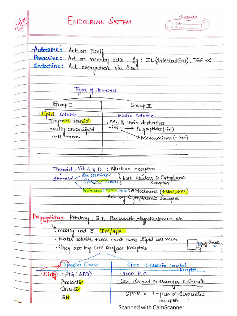 DR Ashish's Latest Endocrine Physio Notes | PDF