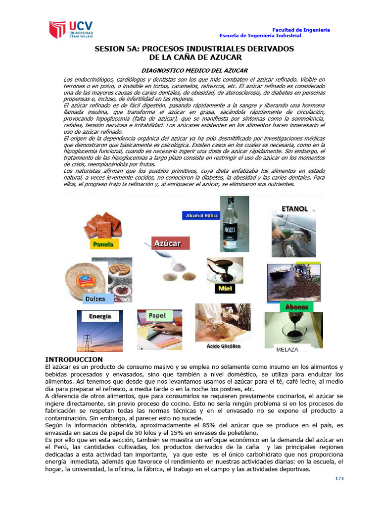 Procesos | PDF
