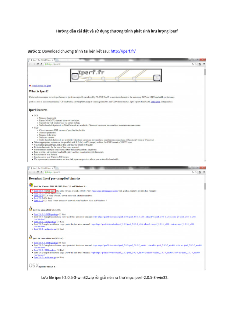 Hướng Dẫn Cài Đặt Và Sử Dụng Chương Trình Phát Sinh Lưu Lượng Iperf | PDF
