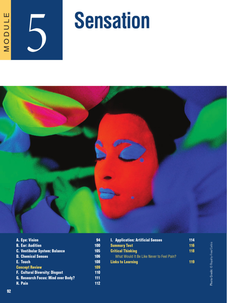 Module 5 Sensation | PDF
