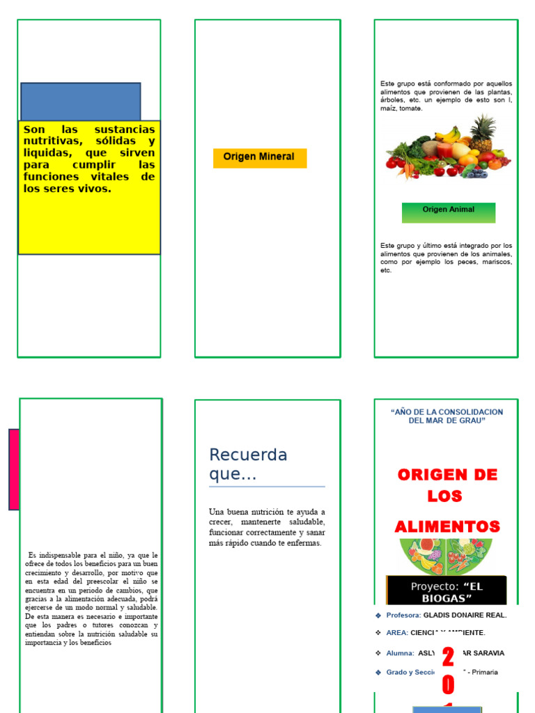 Triptico Origen de Los Alimentos | PDF