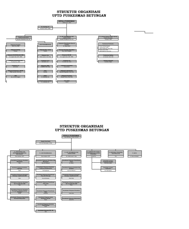 Struktur PKM BTG Baru Benar | PDF