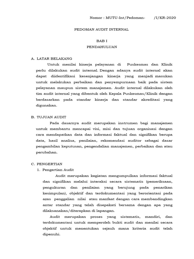Pedoman Audit Internal Puskesmas 2020 | PDF | Pengelolaan Keuangan & Uang