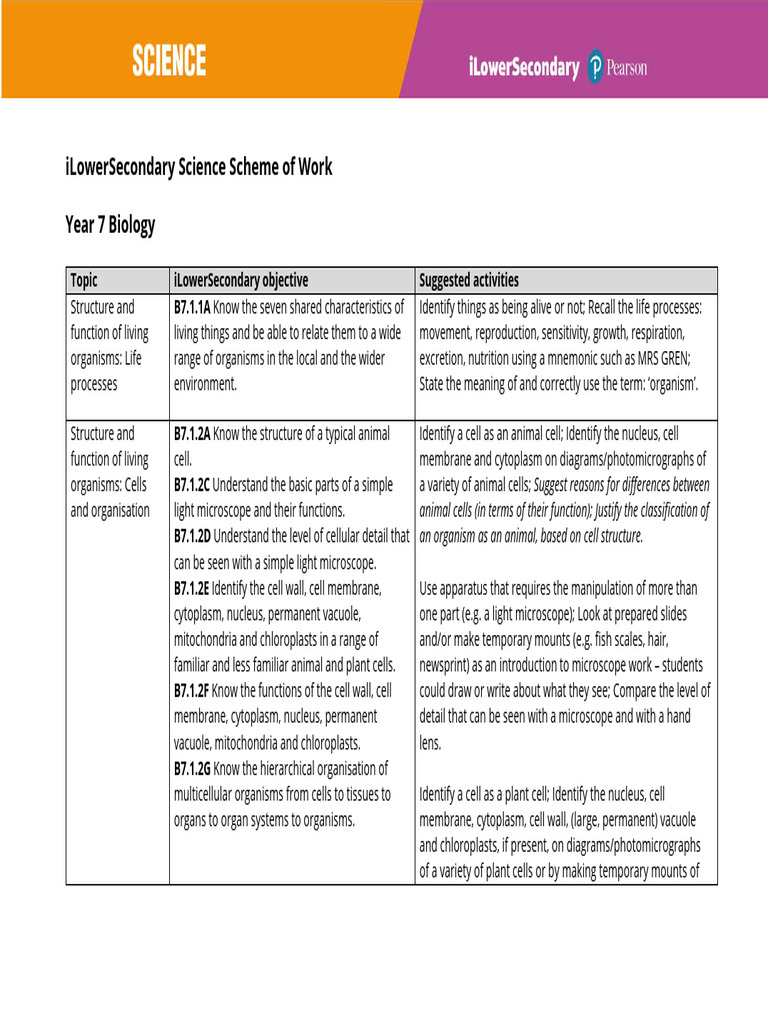 Year 7 Science Curriculum Overview | PDF