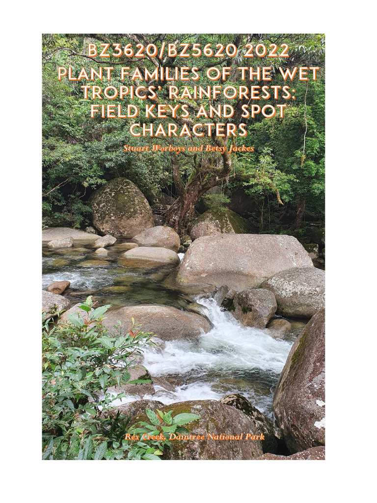 Rainforest Plant Family Guide | PDF