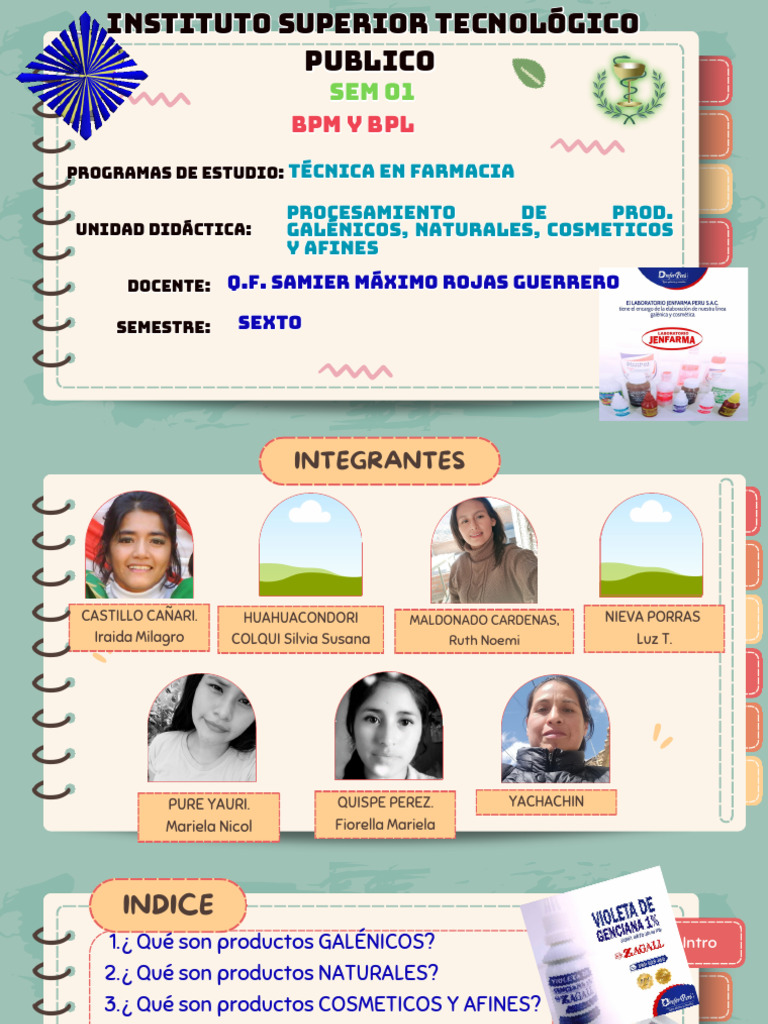 SEM 1 BPM y BPL | PDF