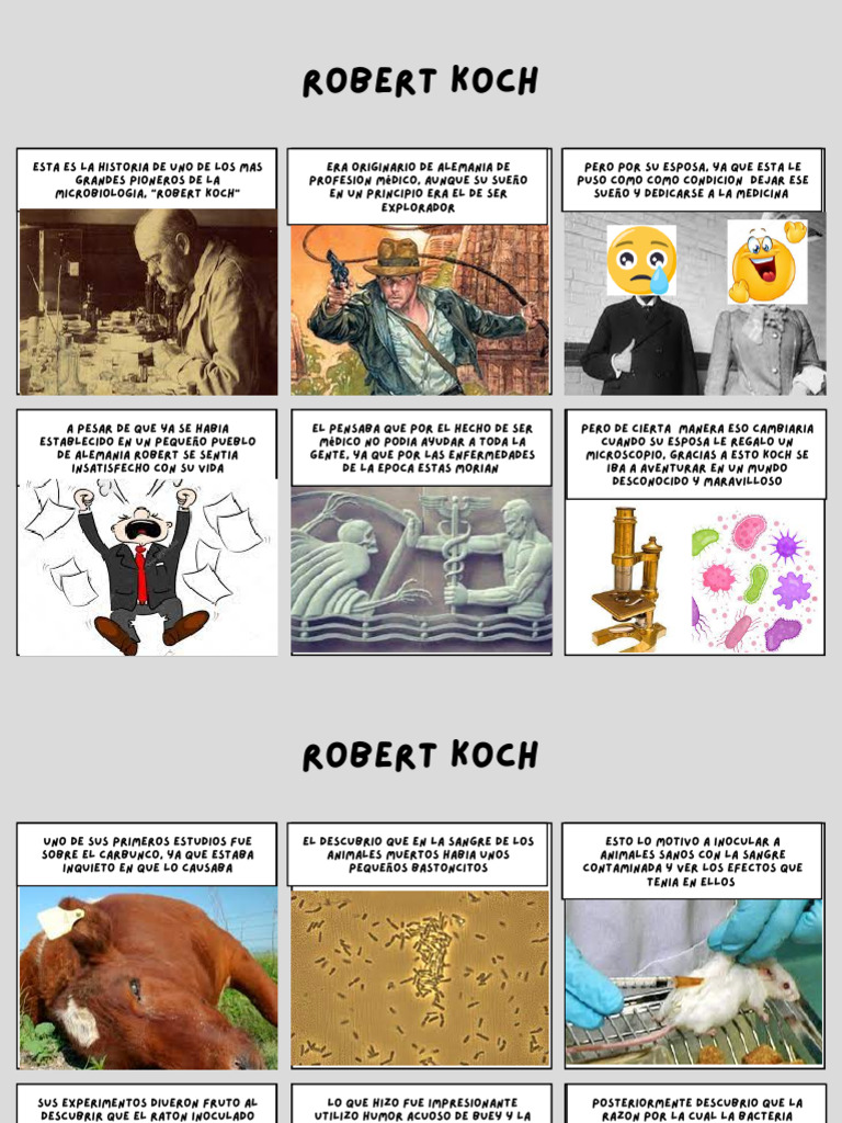 Historieta Robert Koch | PDF