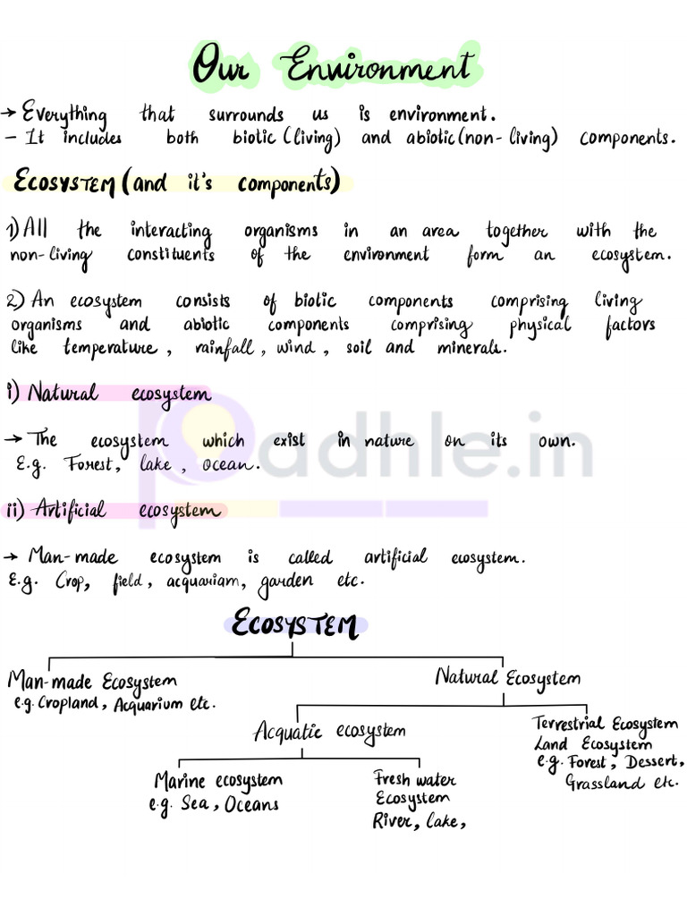 Our Environment | PDF