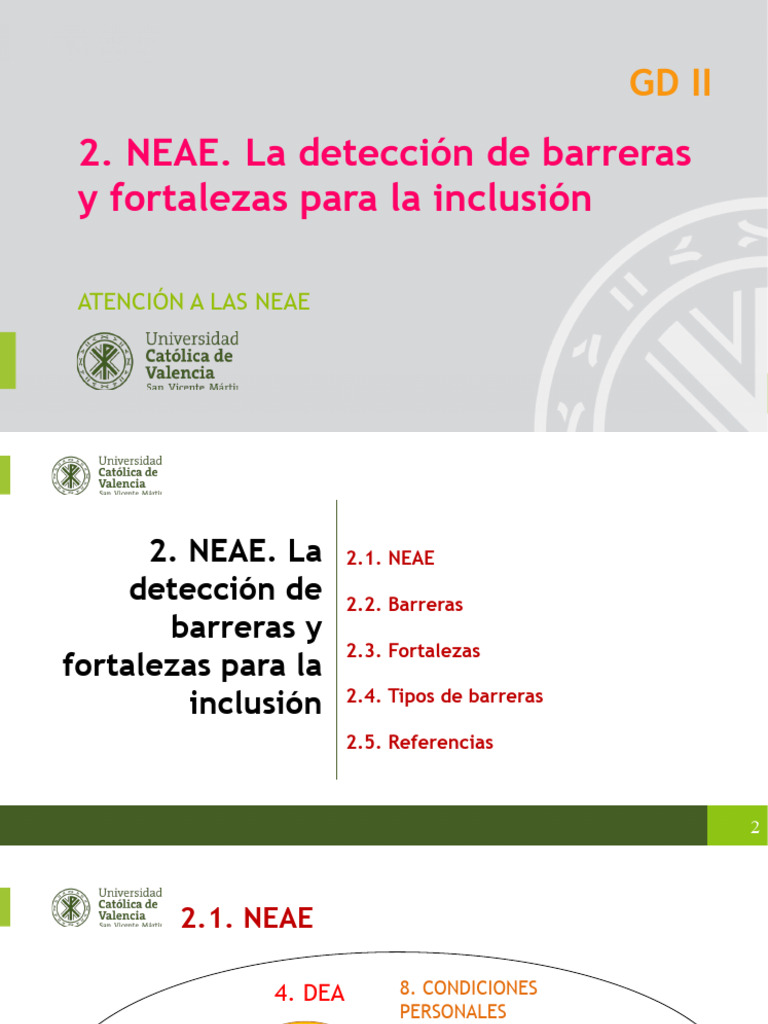 NEAE. Barreras y Fortalezas | PDF