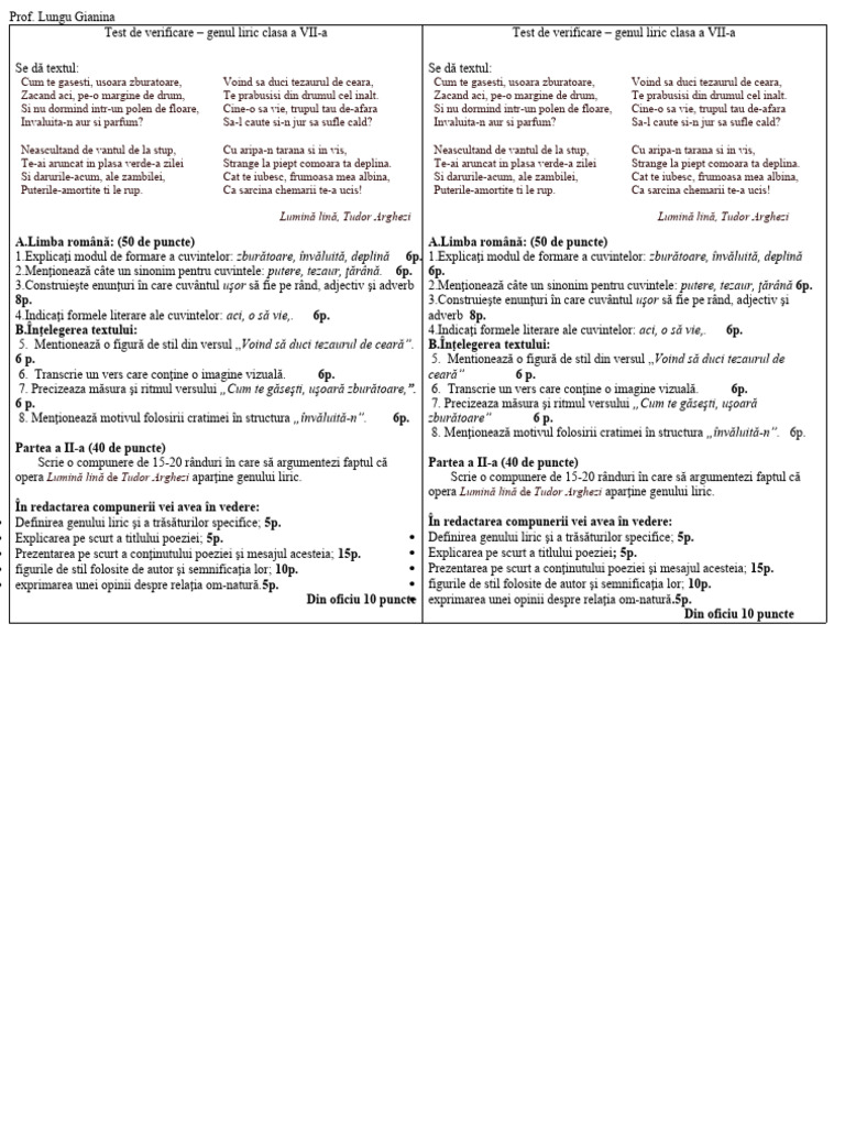 Test Genul Liric | PDF
