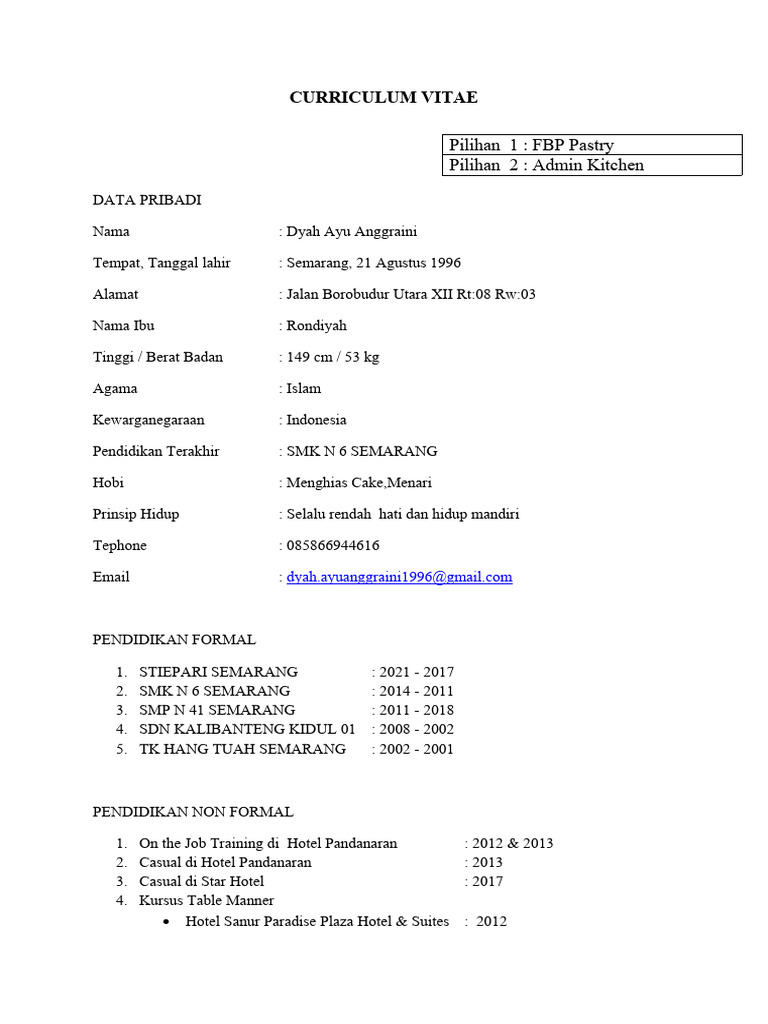 CV Ayu | PDF