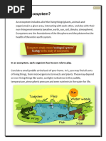 Our Environment Worksheet Class 4 C | PDF | Pollution | Natural Environment