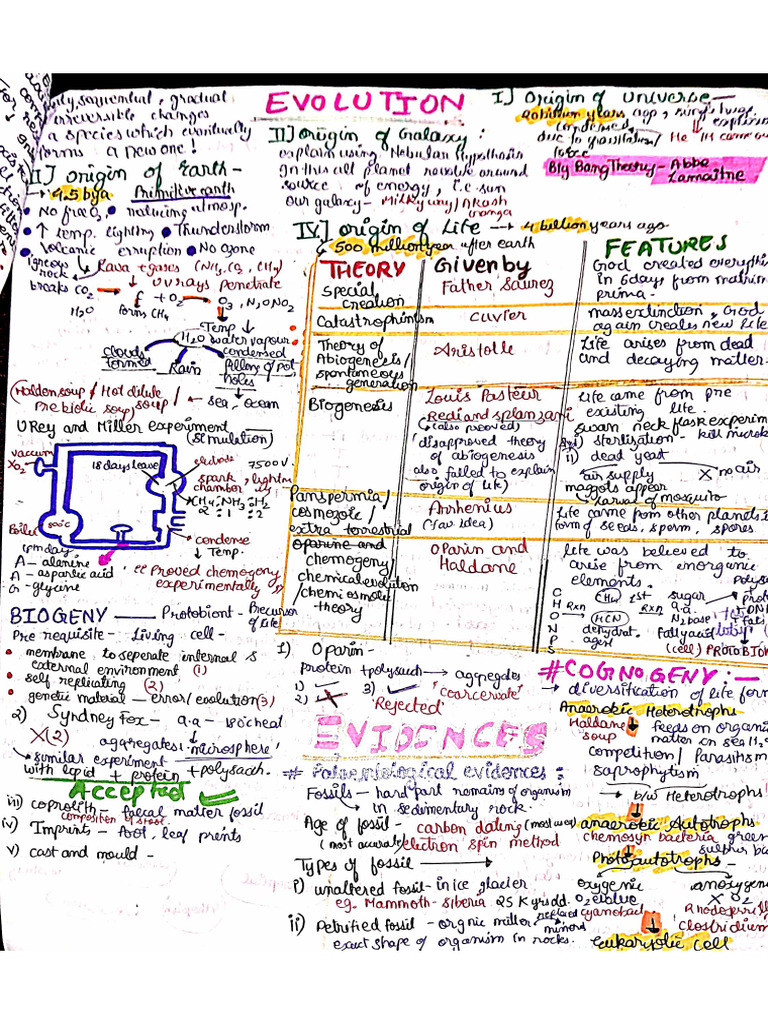 ONE PAGE HANDWRITTEN Evolution Class 12 | PDF