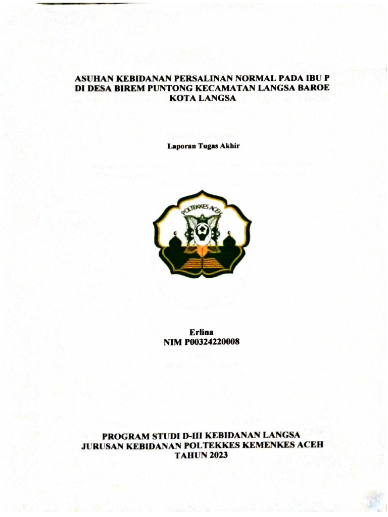 Erlina | PDF