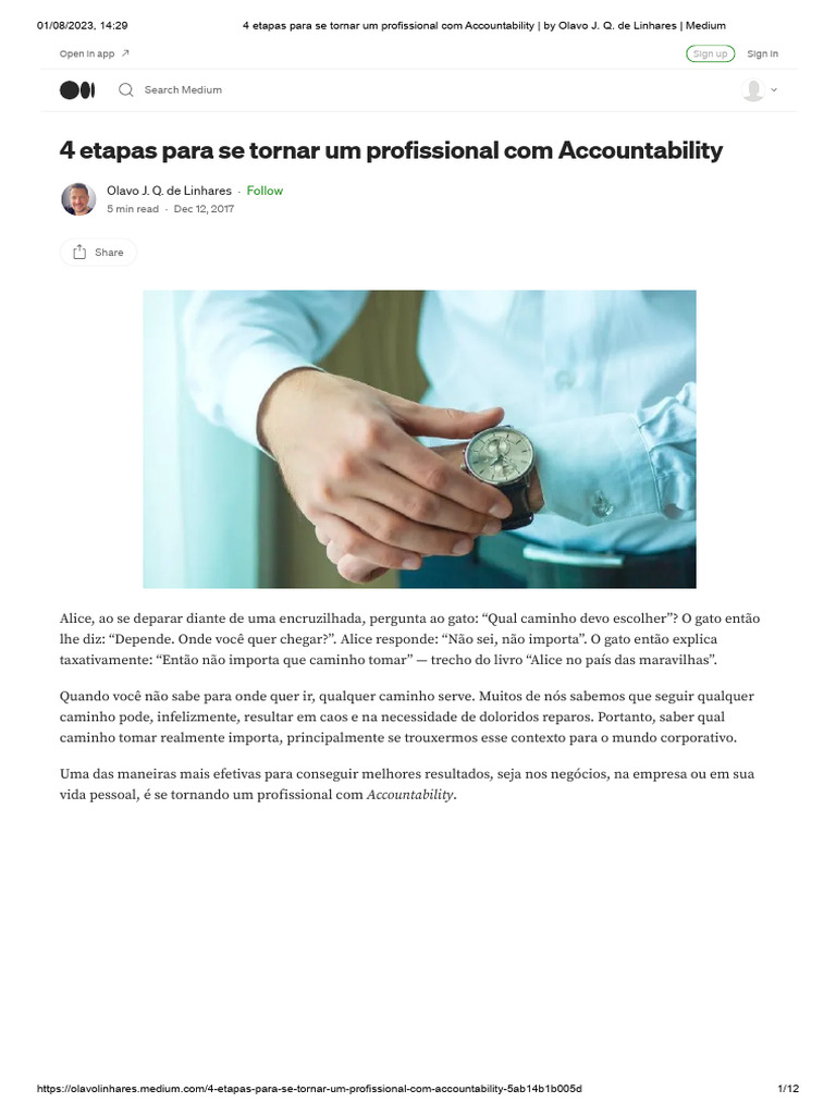 4 Etapas para Se Tornar Um Profissional Com Accountability | Download ...