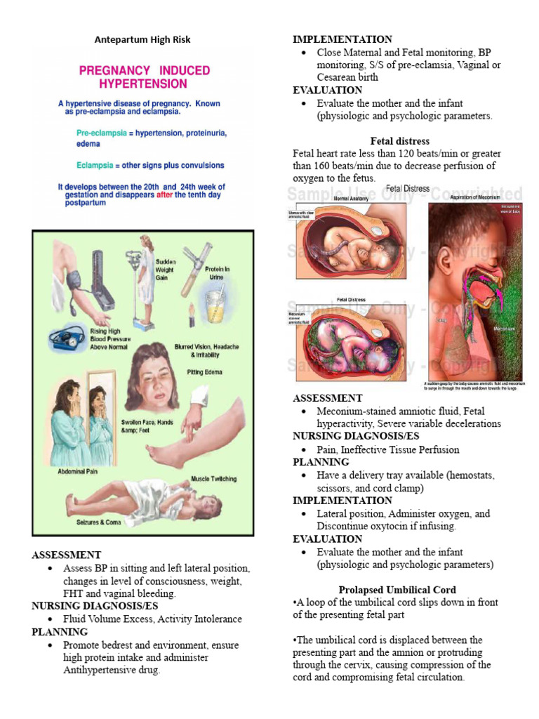 Anterpartum High Risk | PDF | Childbirth | Fetus